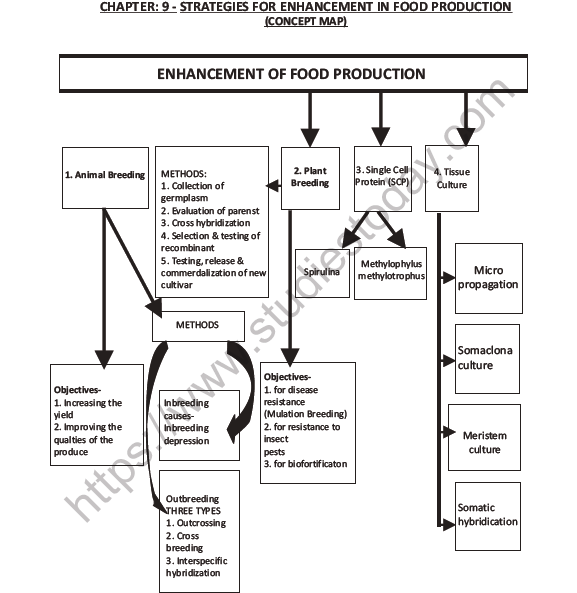 CBSE Class 12 Biology Strategies For Enhancement In Food Production Worksheet Set A